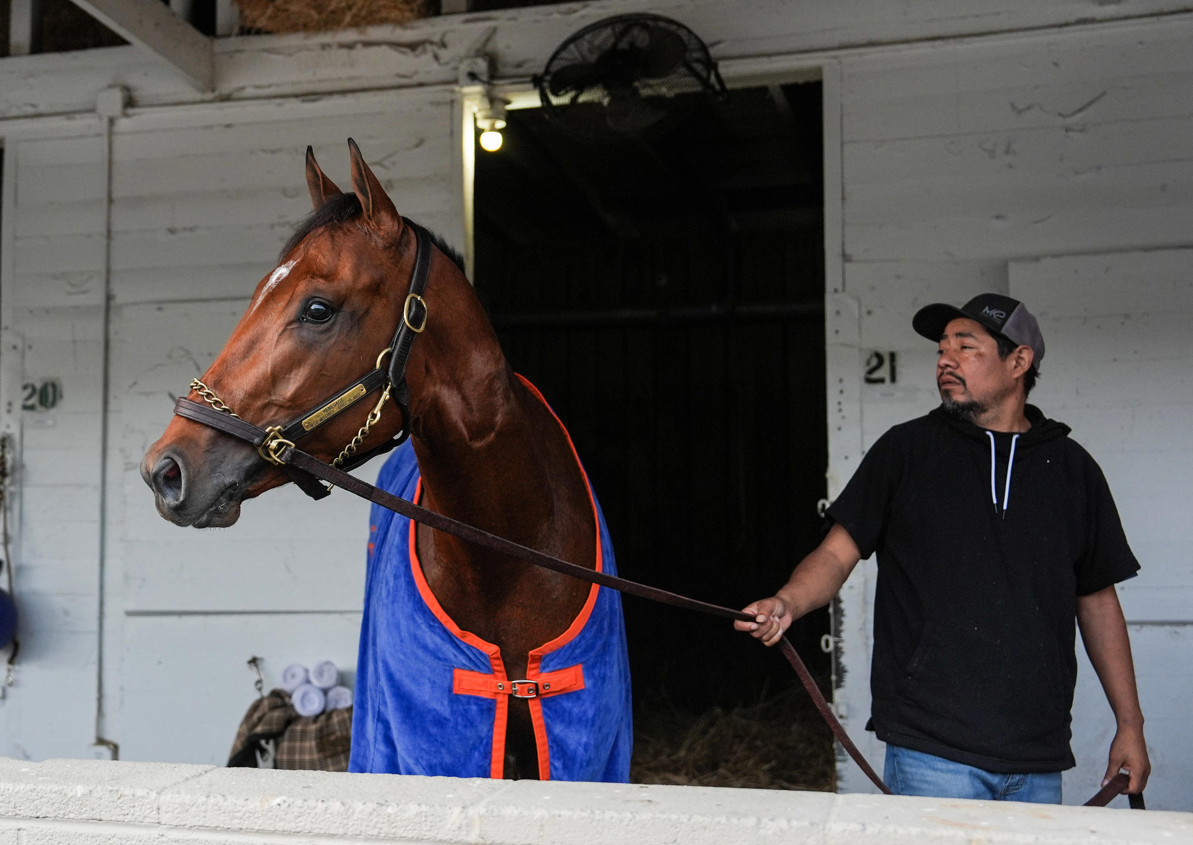 From hats to horses, answers to your Kentucky Derby 2026 questions
