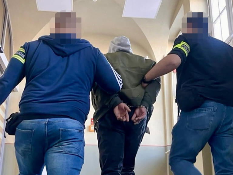 35 zarzutów zbezczeszczenia i wiele więcej. Policja dopadła zmory z Pomorza