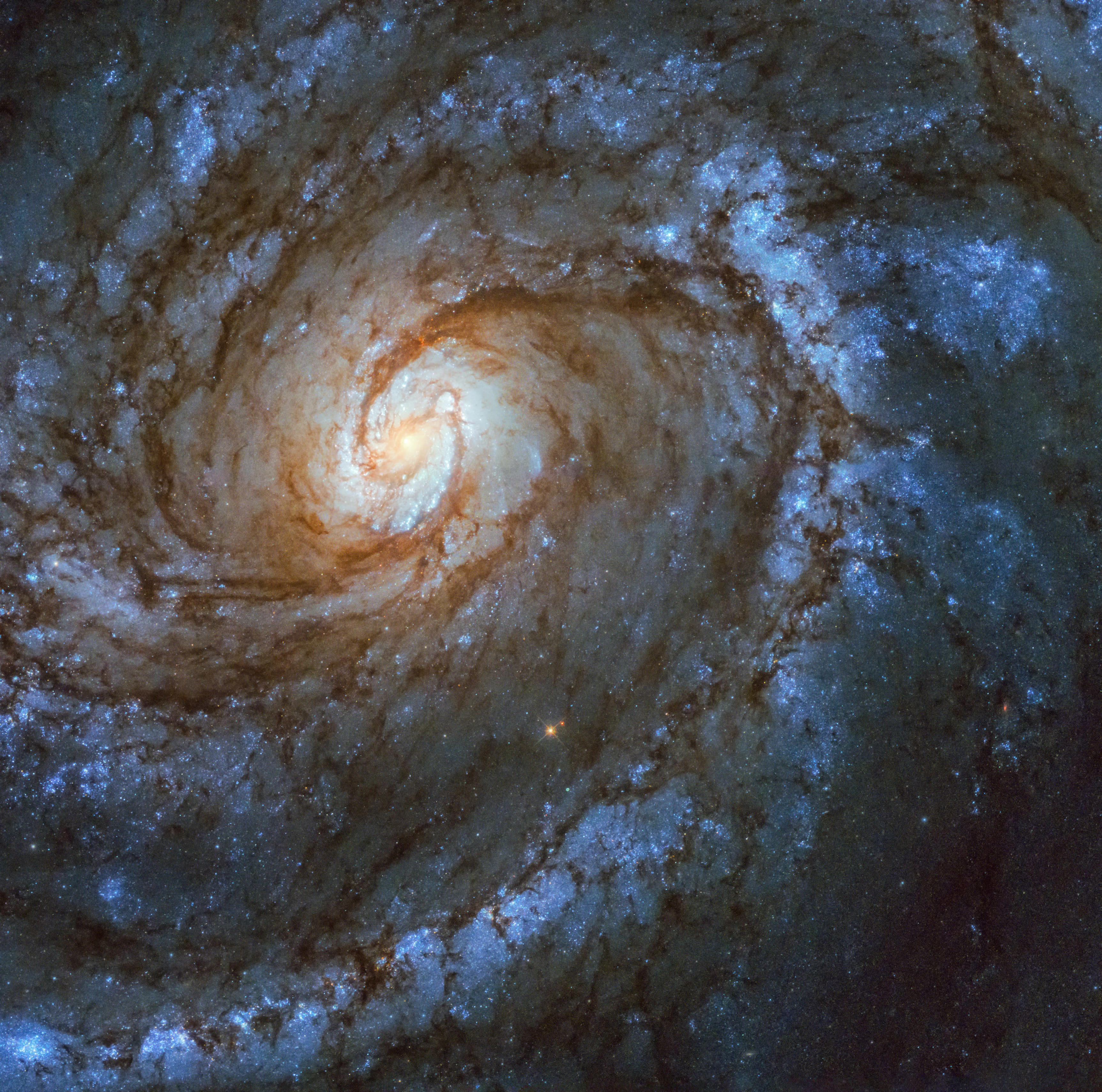 How to find the Hubble Space Telescope photo taken on your birthday