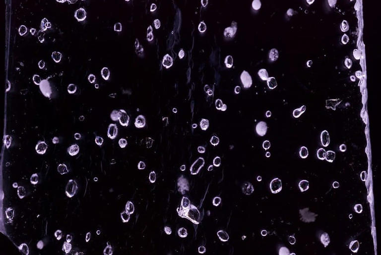 Scientists pulled a 3-million-year-old climate mystery out of Antarctic ...