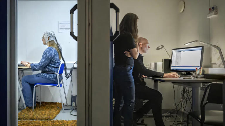 Memory breaks old divide as brains track details and patterns ...