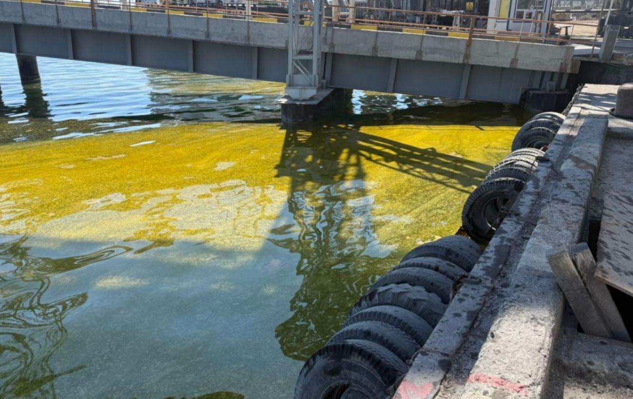 Russian strikes on Ukraine's Odesa port spill tons of sunflower oil in ...