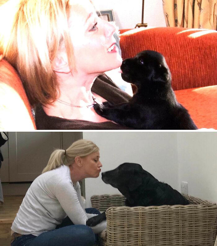58 pics of pets growing up with their humans that might just make your day