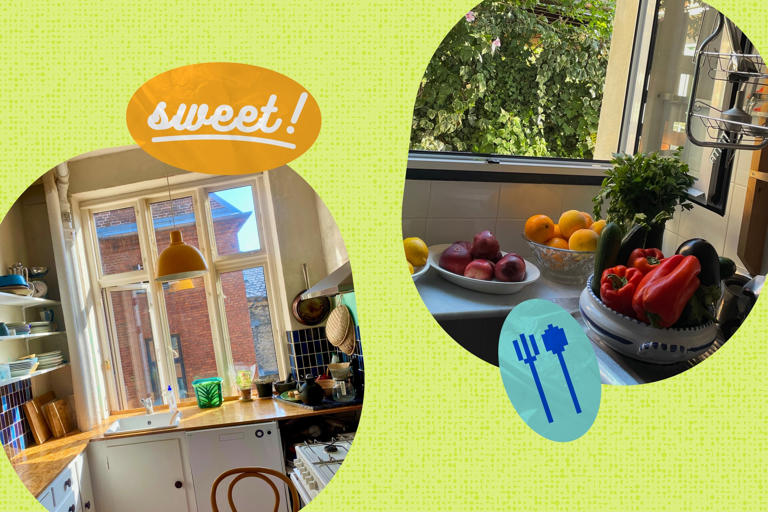 How to clean out your college kitchen at the end of the year sustainably