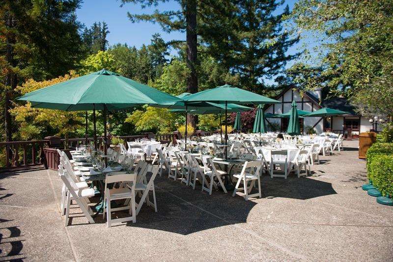 The Redwood, California, Forest Landmark Where History Meets a New ...