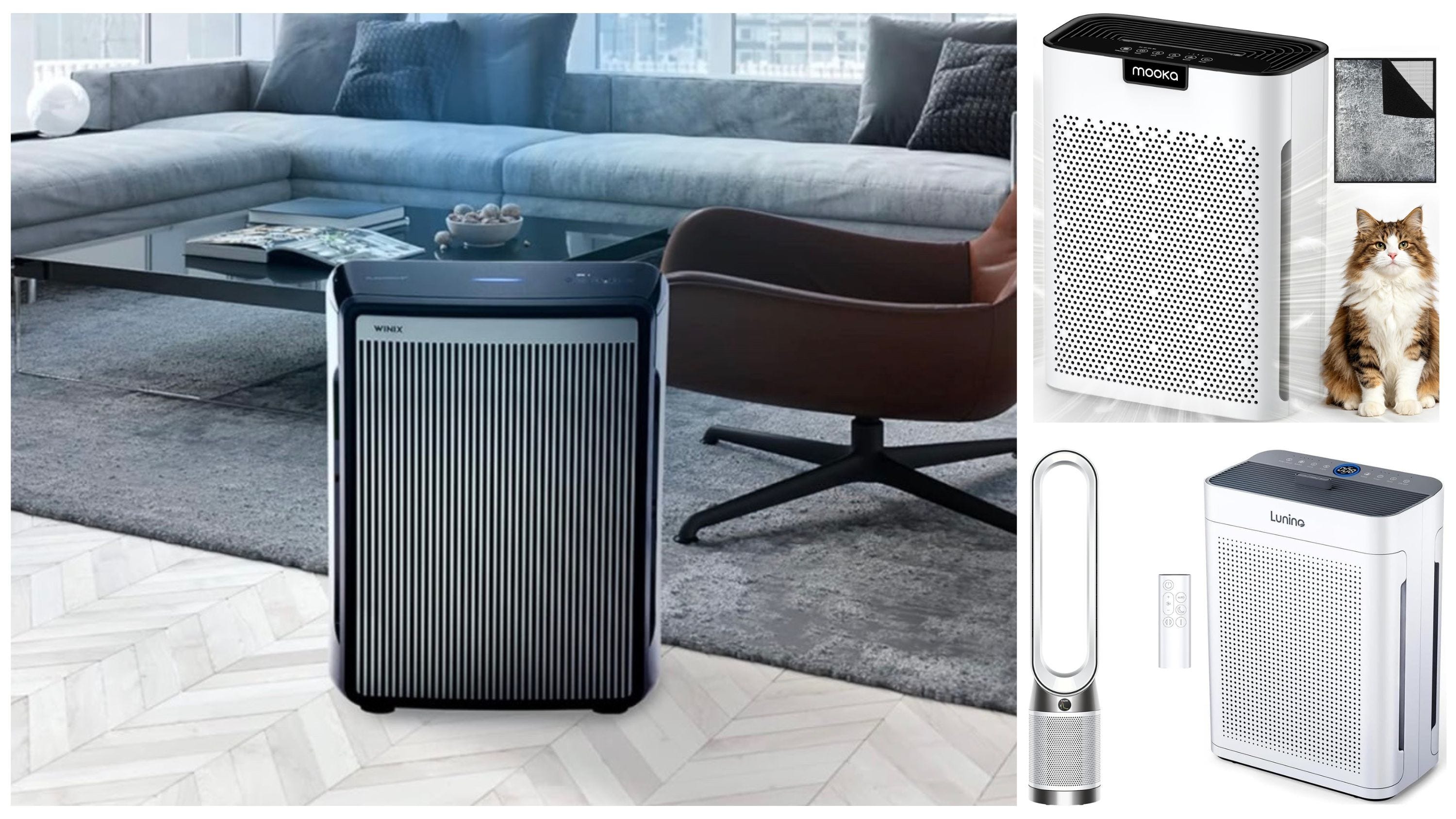 Find air purifiers designed to filter wildfire smoke + pollutants