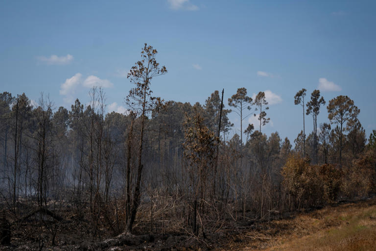 Georgia wildfire doubles in size, mandatory evacuations possible