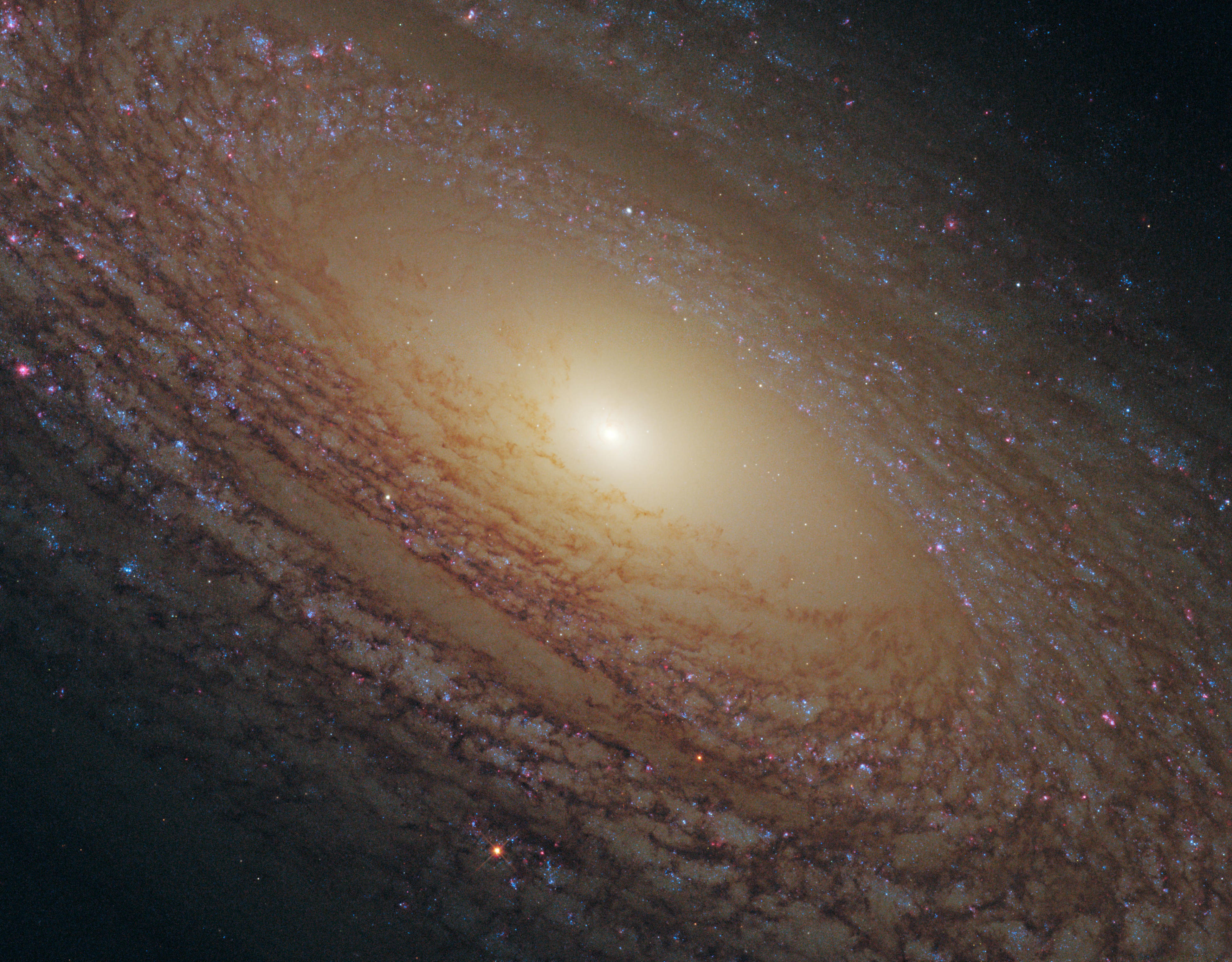 How to find the Hubble Space Telescope photo taken on your birthday