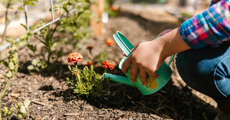 School gardens lead to more positive attitudes about the environment ...