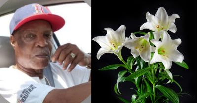 Zannie Bell Martin, 86, of Racine – obituary