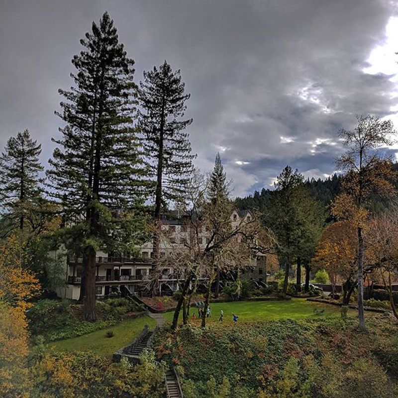 The Redwood, California, Forest Landmark Where History Meets a New ...
