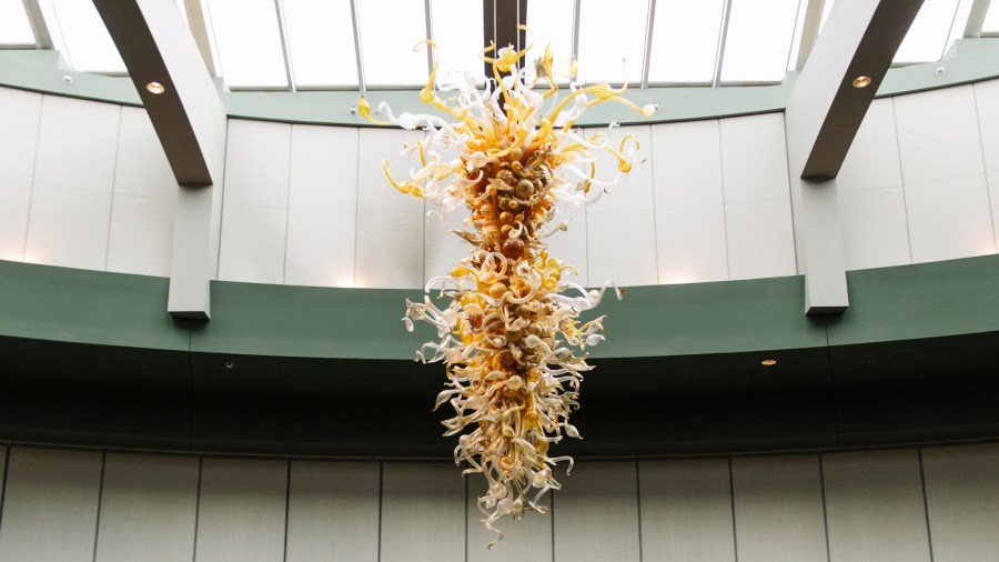 New Chihuly exhibit to open Saturday at Frederik Meijer Gardens