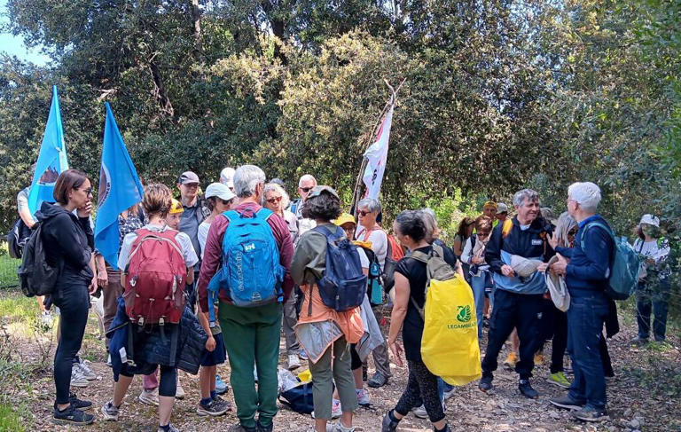 Palmaria, successo per la giornata ecologica: raccolti oltre 80 chili ...