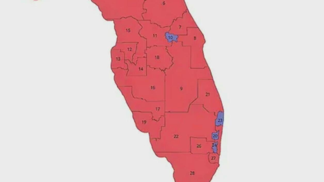 DeSantis reveals new Florida congressional map image ahead of special ...