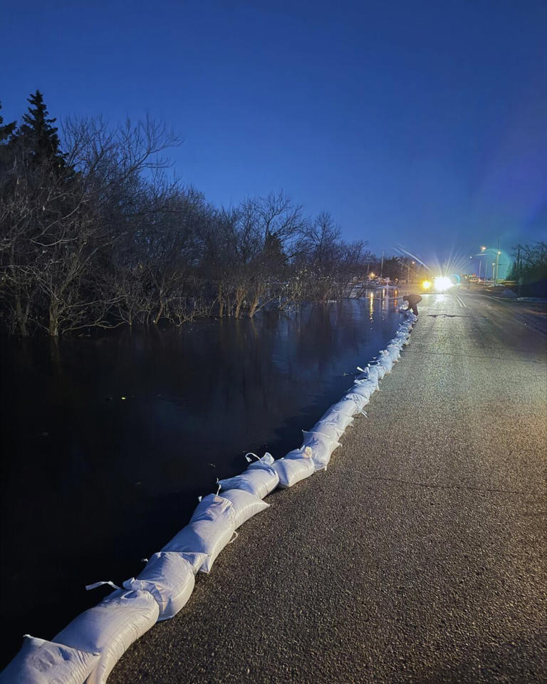 Foam Lake, Sask., residents rally to fight flooding