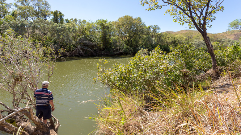 The animal with the strongest bite force that you don't want to meet in ...