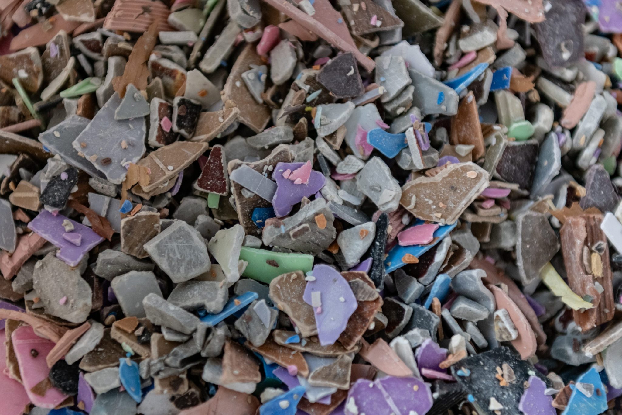 Toxic chemicals are raising infertility in humans, fish, birds, and ...