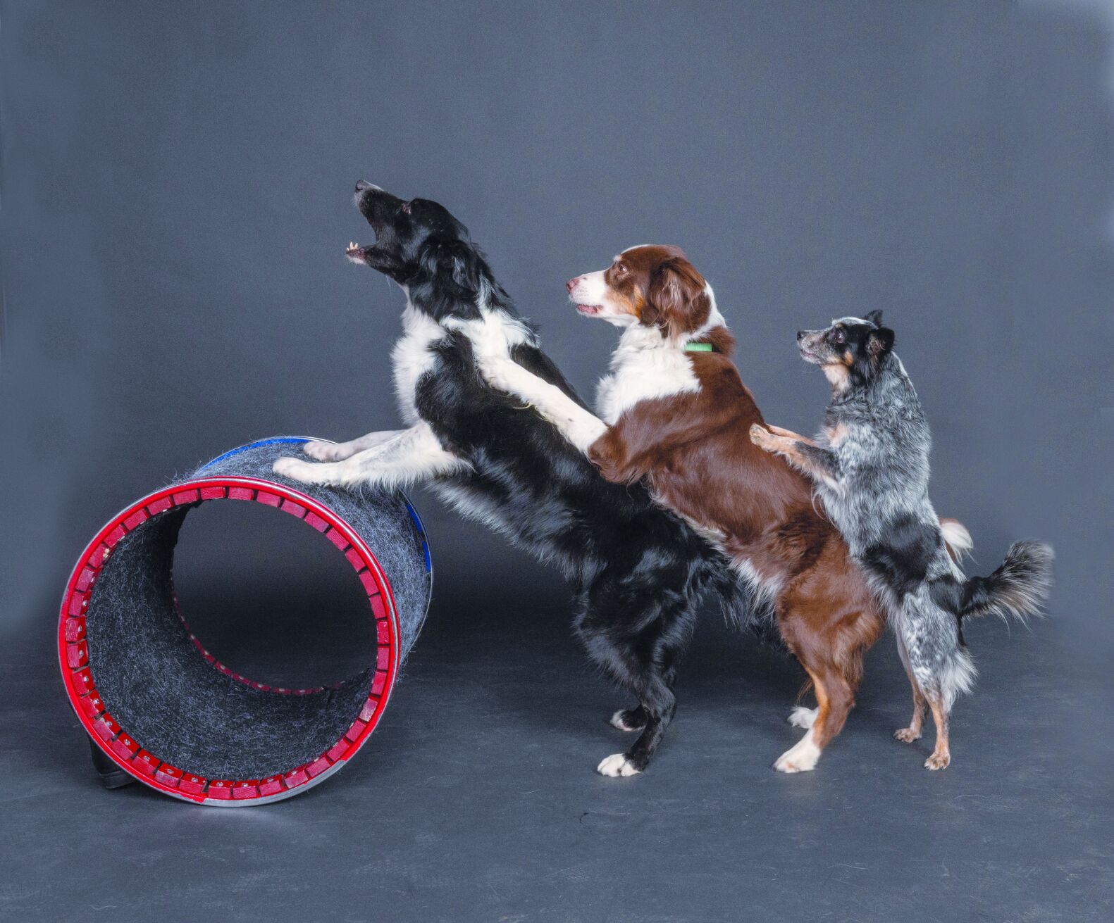 Bernadette Peters, Yo-Yo Ma highlight Hylton Center's 2026-27 season