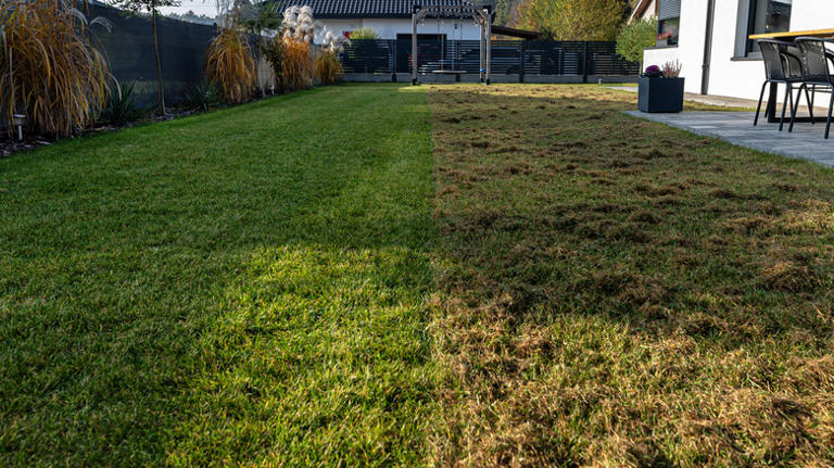 The crucial lawn care step that starts in May for healthy grass all ...