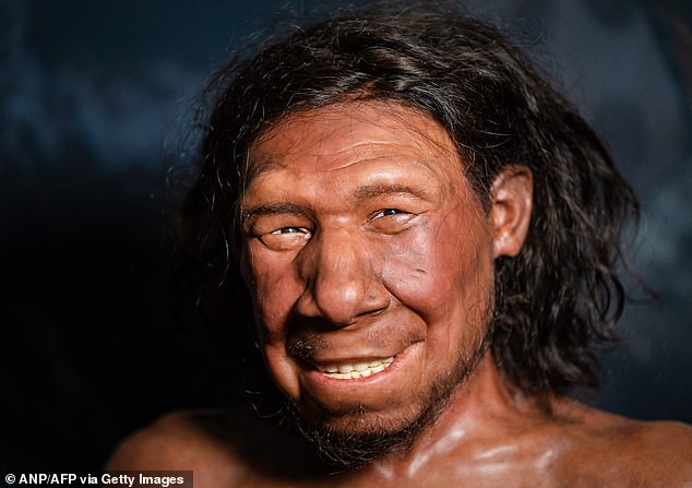 Neanderthals weren't so stupid after all! Cavemen were just as smart as ...
