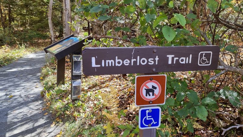 This accessible Virginia trail is like walking through a magical woodland