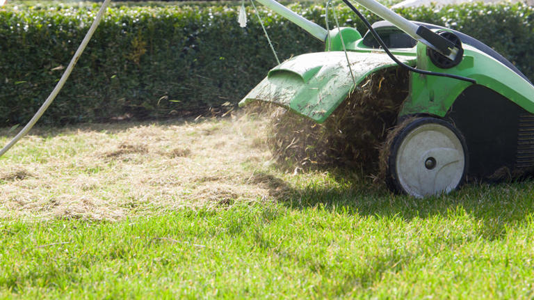 The crucial lawn care step that starts in May for healthy grass all ...
