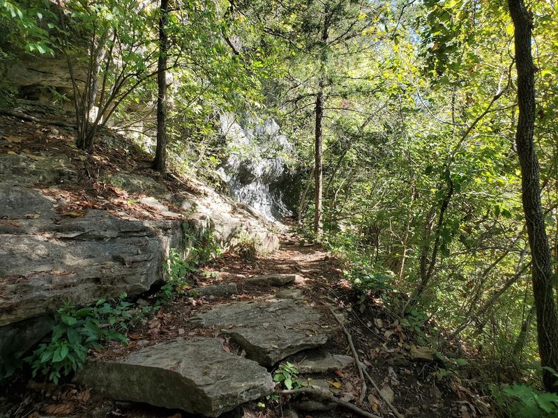 This Missouri trail feels like walking through a hidden wilderness dream