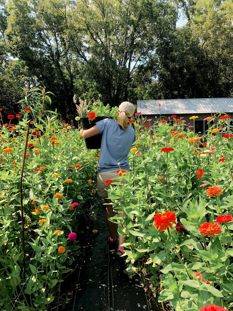 The #1 mistake people make when starting a cut-flower garden (and how ...