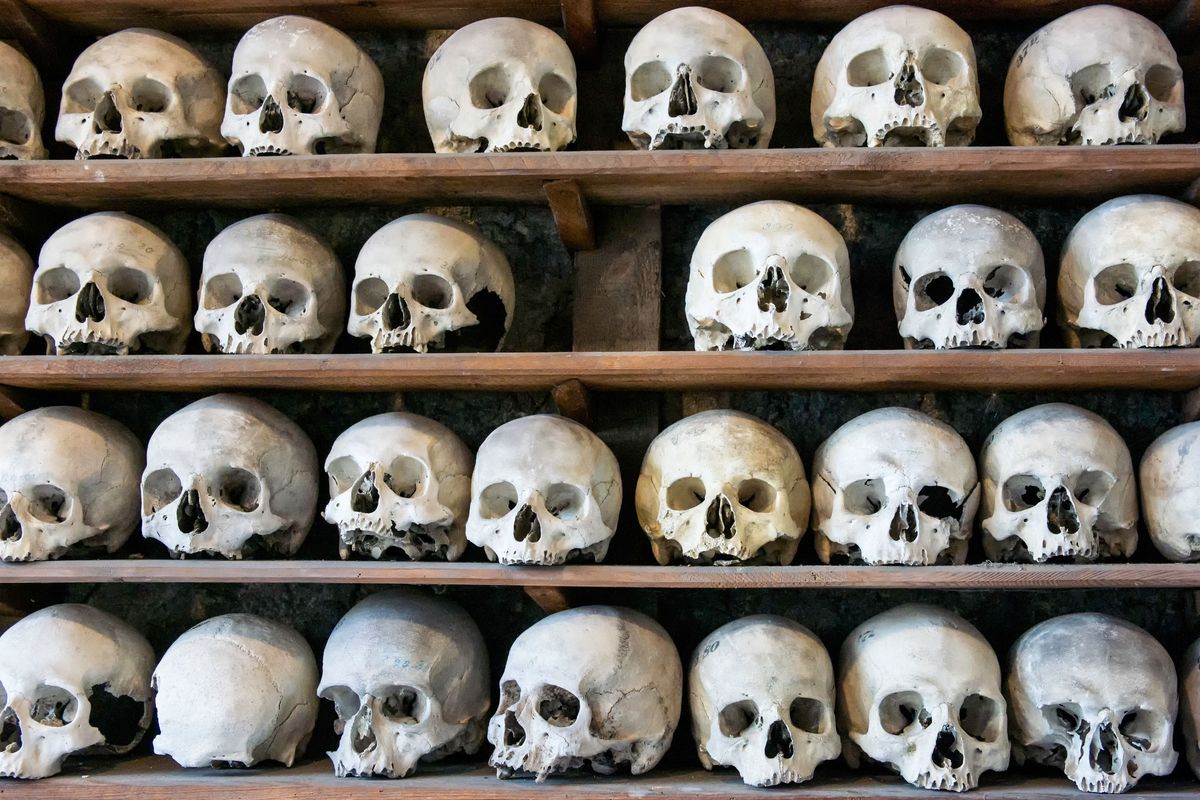 Evolution by natural selection has still been shaping the human species ...