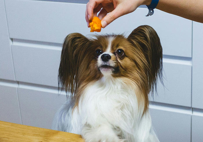 61 times someone’s intelligence was impressive and a little freaky