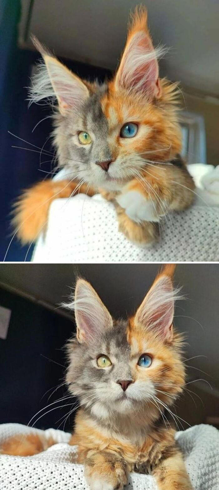 65 interesting pics and facts for those who want to keep on learning