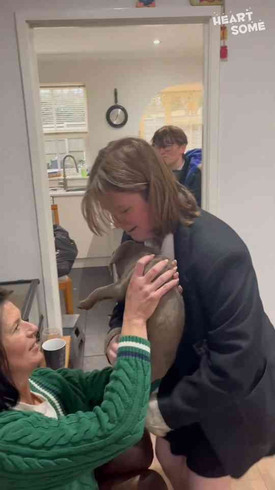 Girl overjoyed as new puppy brings happiness back into her life