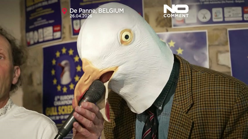 Watch: Seagull imitators compete for the best screech