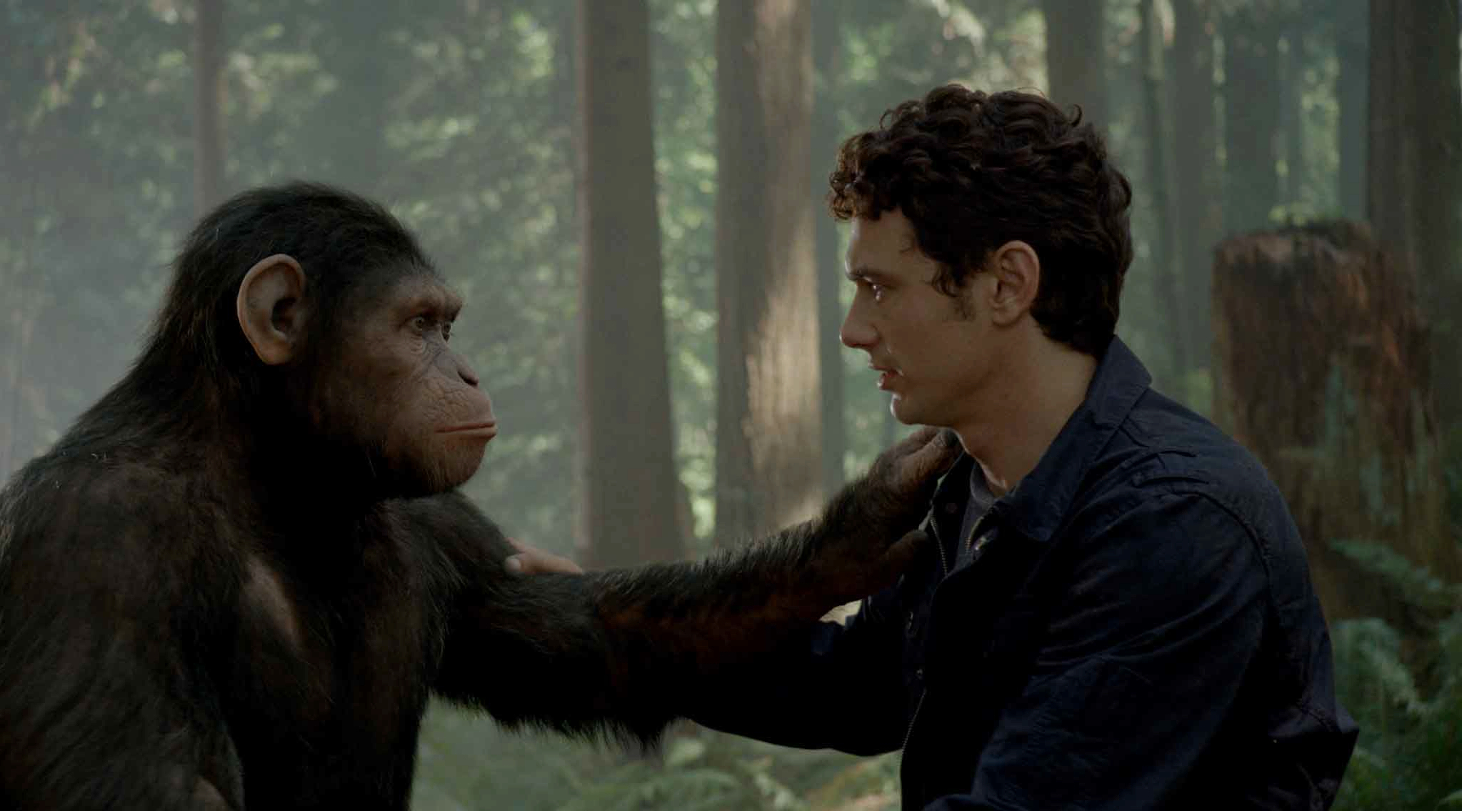 10 movies with plot holes that were still successful