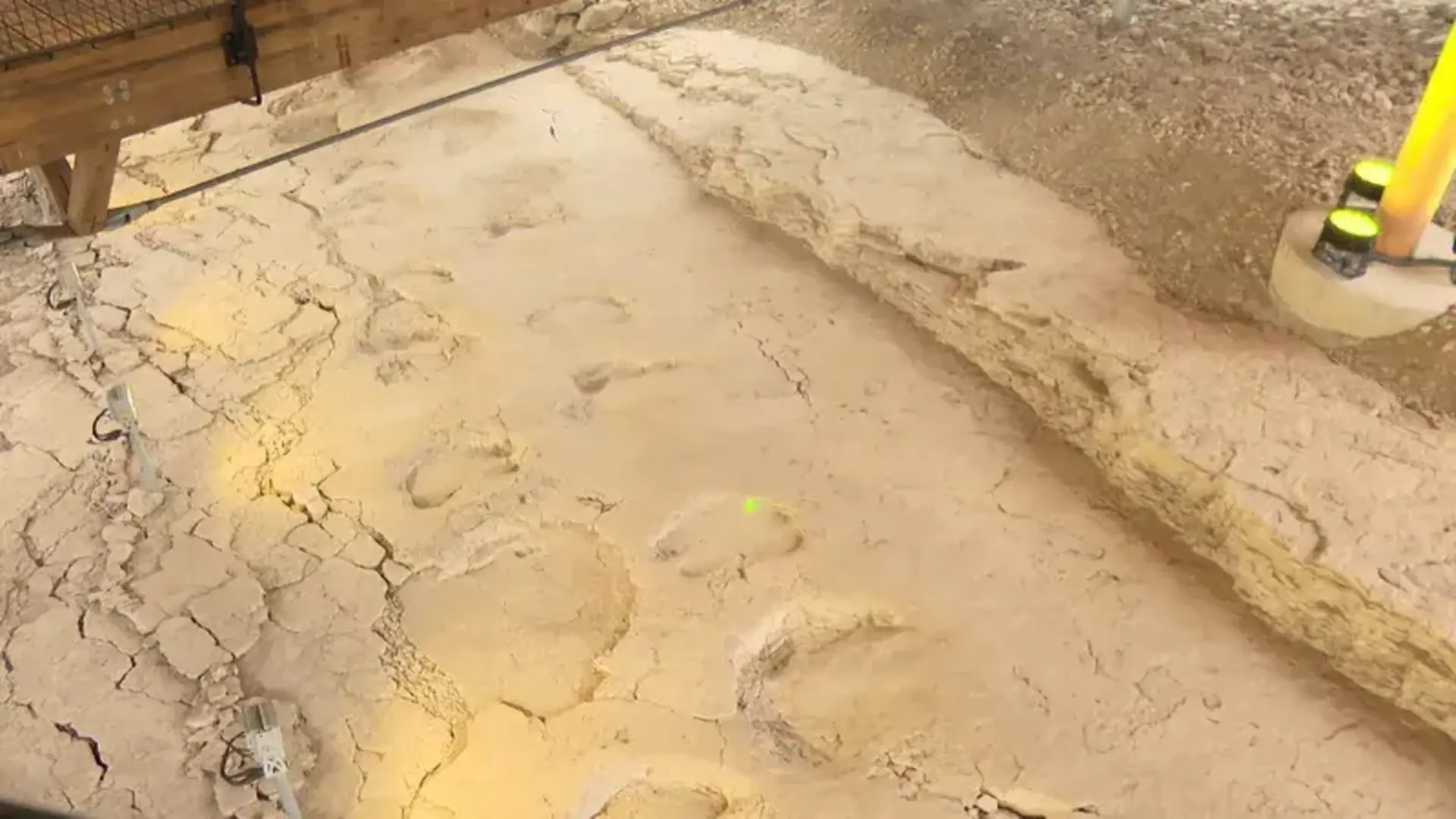 A discovery straight out of the Jurassic: In France, the world’s ...