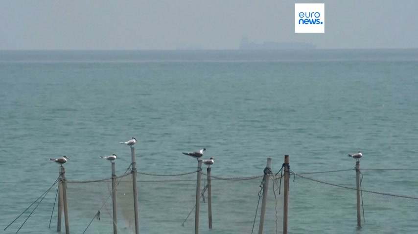 Strait of Hormuz standoff leaves 20,000 seafarers stranded on cargo ships