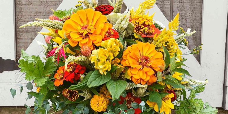 The #1 mistake people make when starting a cut-flower garden (and how ...