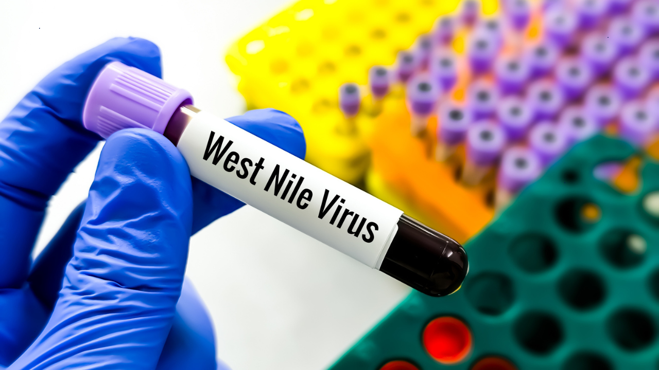 Kerala reports 5 suspected West Nile fever cases: Know all about the ...