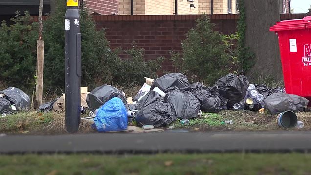 Birmingham City Council claim end to industrial dispute with bin ...