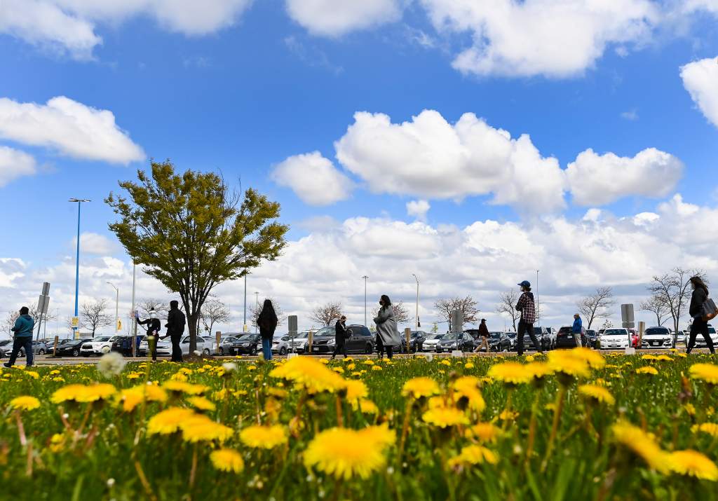 Why allergy seasons are becoming 'more intense overall' in Canada
