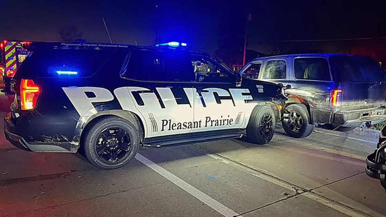 Pleasant Prairie police chase; suspect arrested, malnourished animal ...