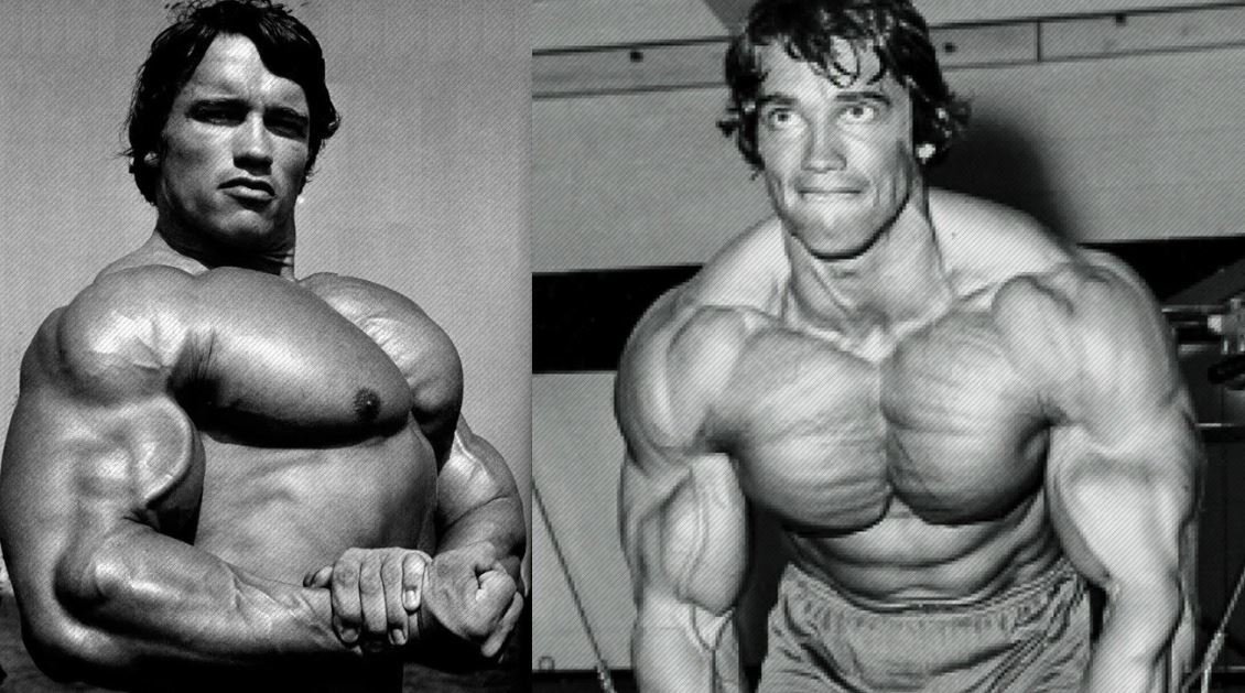 Mastering your upper chest: The Arnold Schwarzenegger way