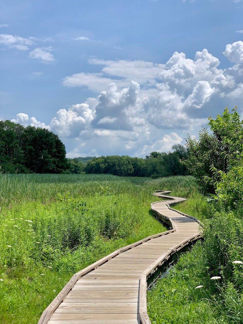 13 family-friendly hikes in New Jersey where the trails are short and ...