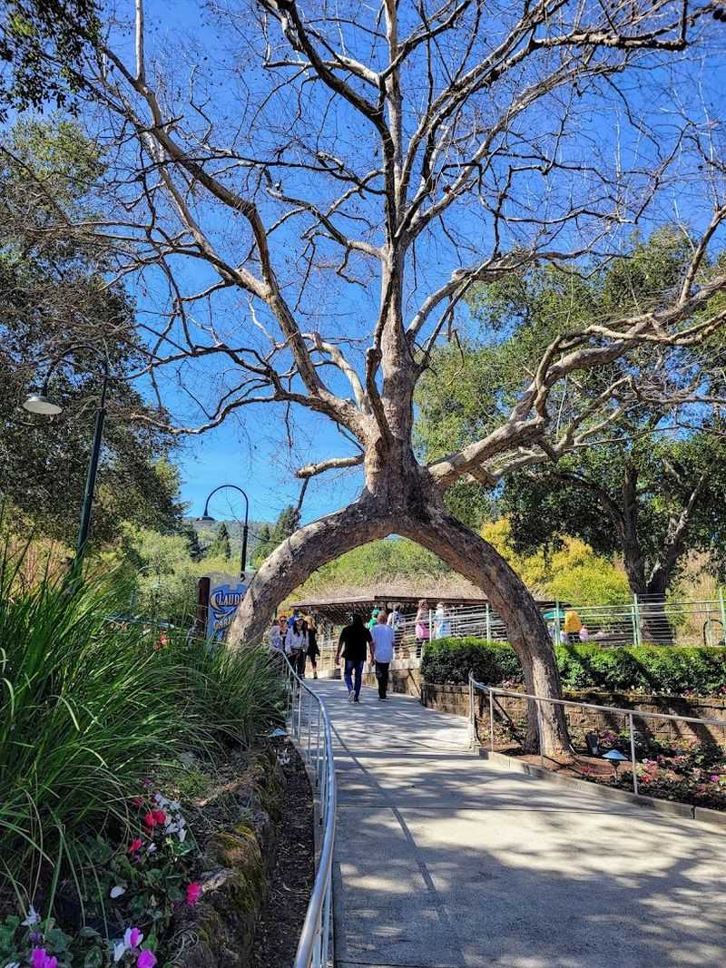 California’s only horticultural theme park is now open for spring with ...