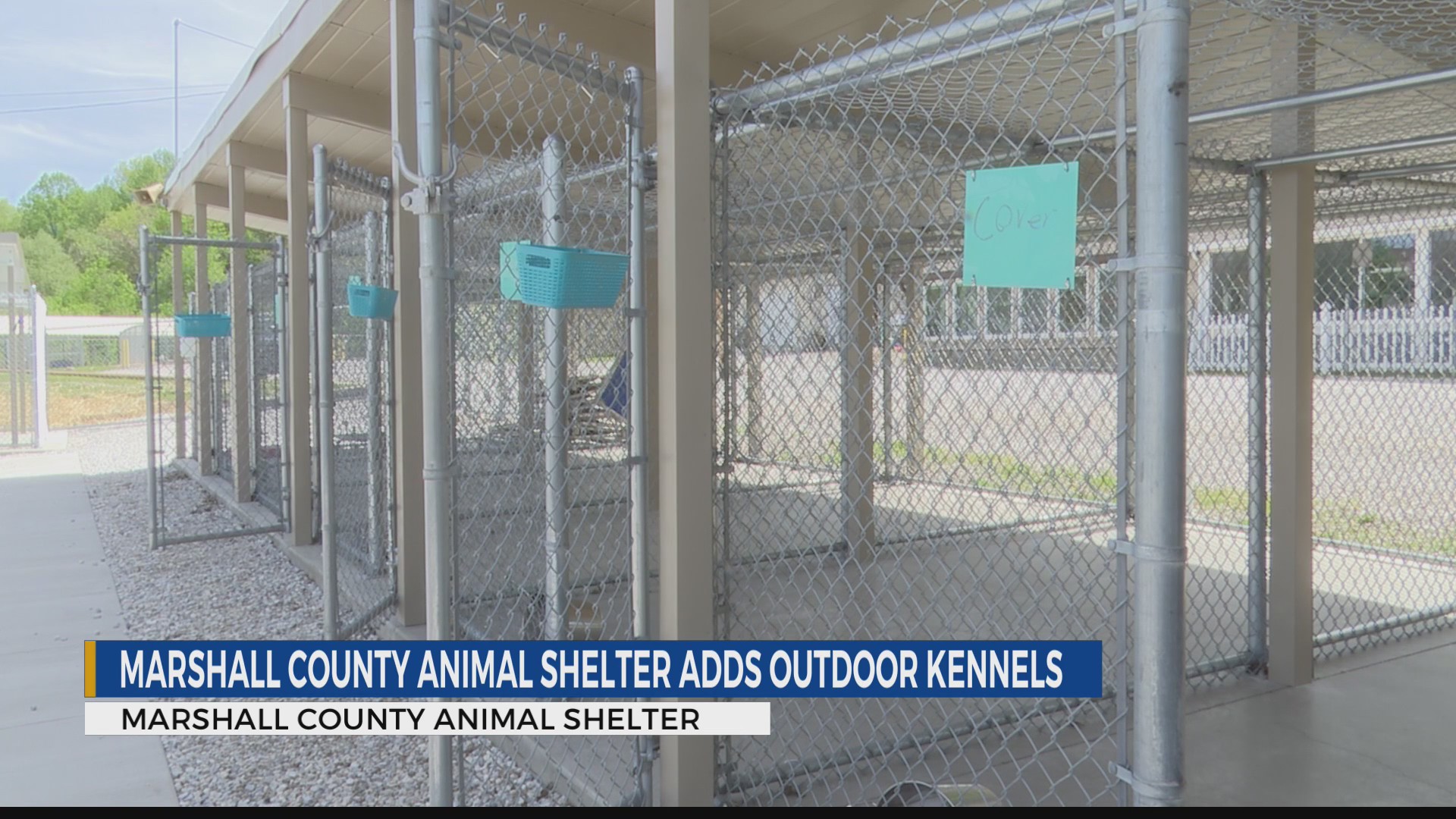 Marshall County animal shelter unveils new outdoor kennels after $450K ...