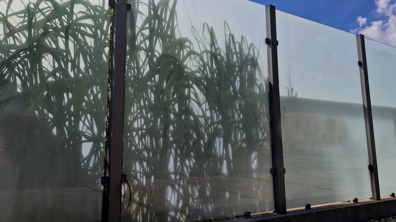 Why homeowners are loving glass fence panels