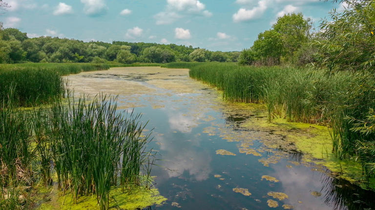 Outside Madison is Wisconsin's lakeside state park for fishing, boating ...