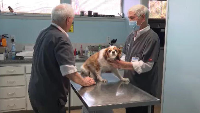 Sibling-owned vet clinic to close after 66 years