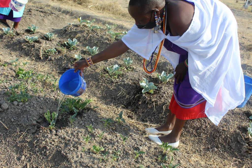 Women led it, youth scaled it: A Maasai community’s fight to adapt to ...