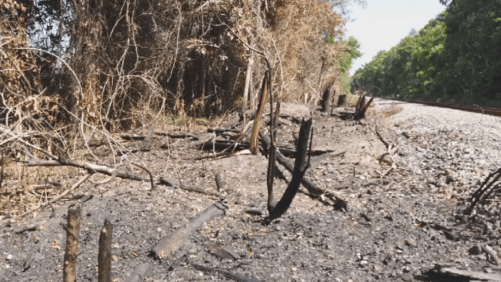 Scenic Highway Bluffs brush fire prompts questions as drought ...
